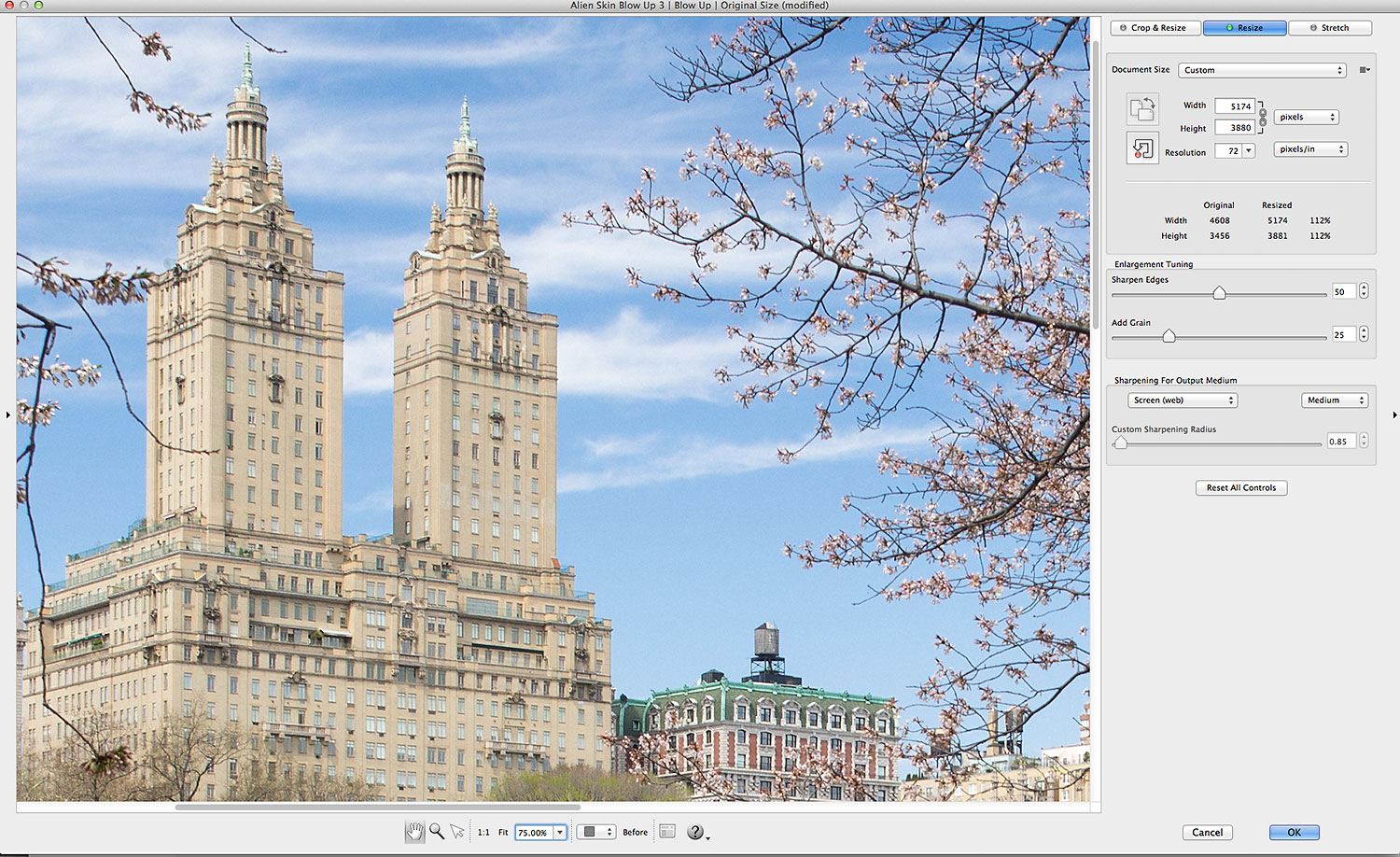 Photo Enlargement: The Great Resolution Hoax