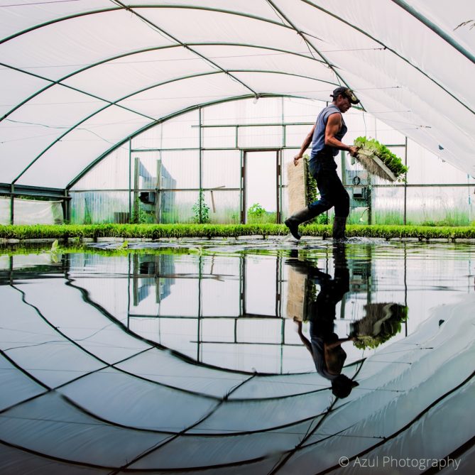 How Exposure Meets The Photo Editing Efficiency Demands of ...