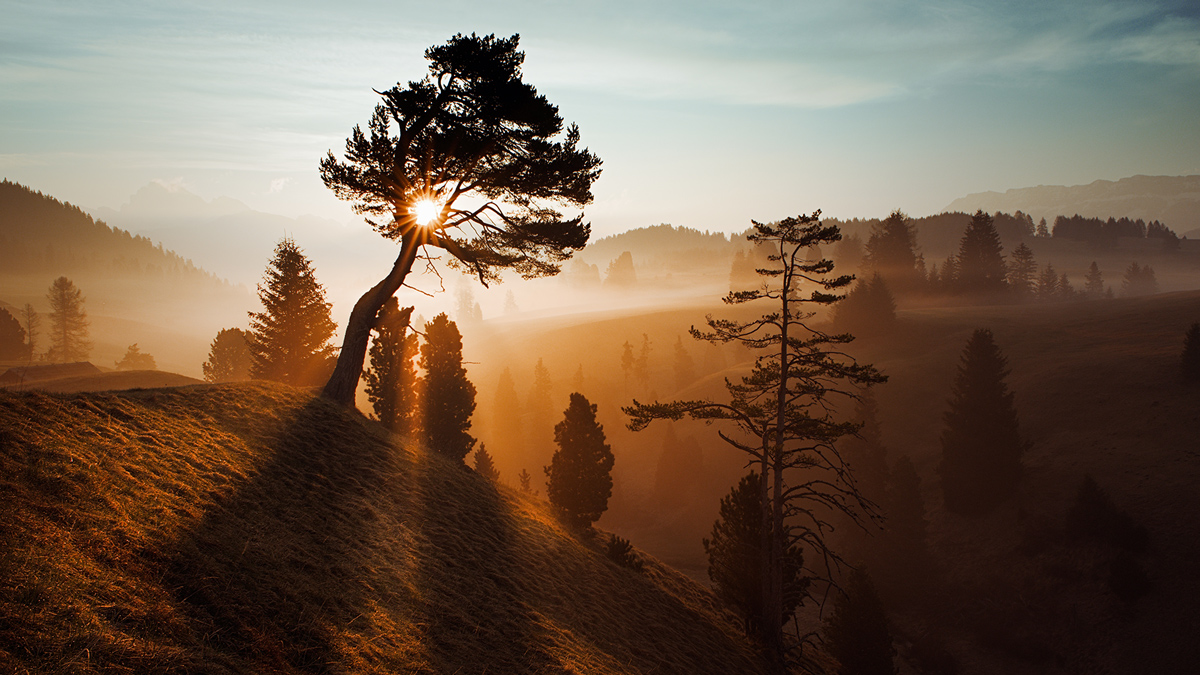 Improved Shadow and Highlight Recovery in Exposure X4 - Exposure Software