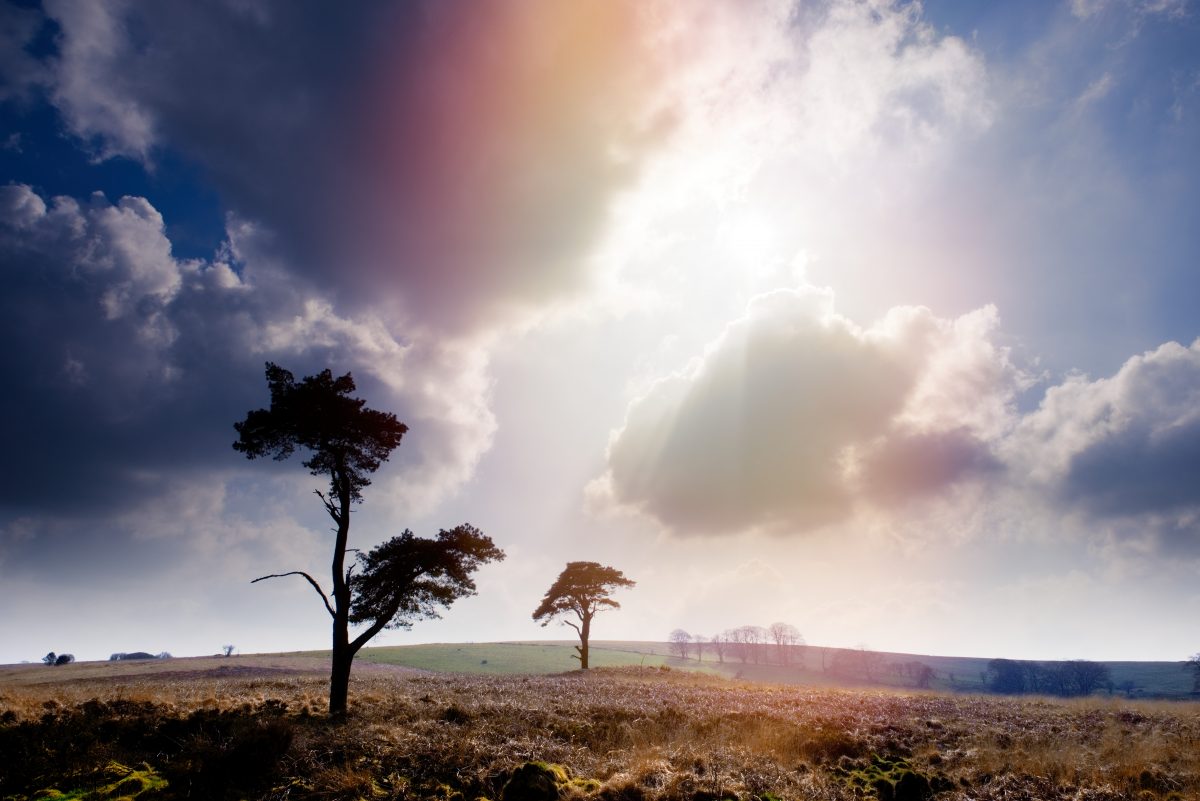 Helpful Tips for Editing Landscape Photos with Exposure - Exposure Software