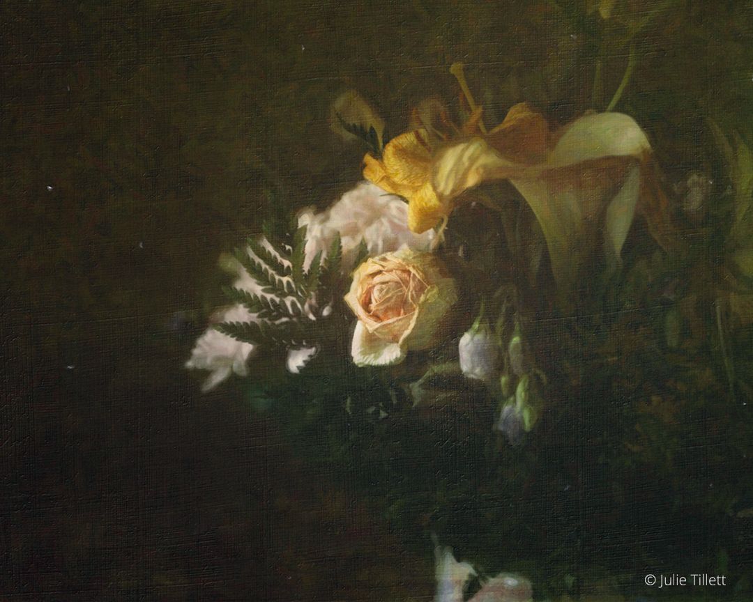 Pro Snap Art Tips from Julie Tillett - Exposure Software