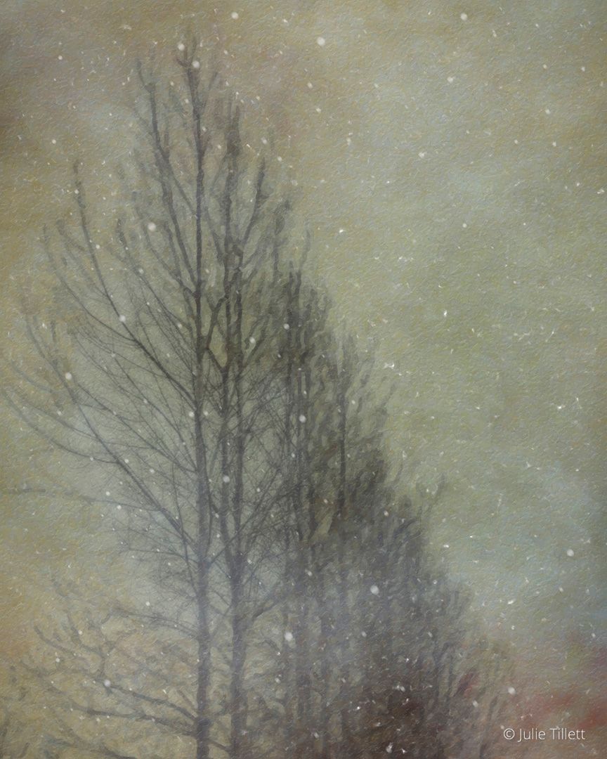 Pro Snap Art Tips from Julie Tillett - Exposure Software