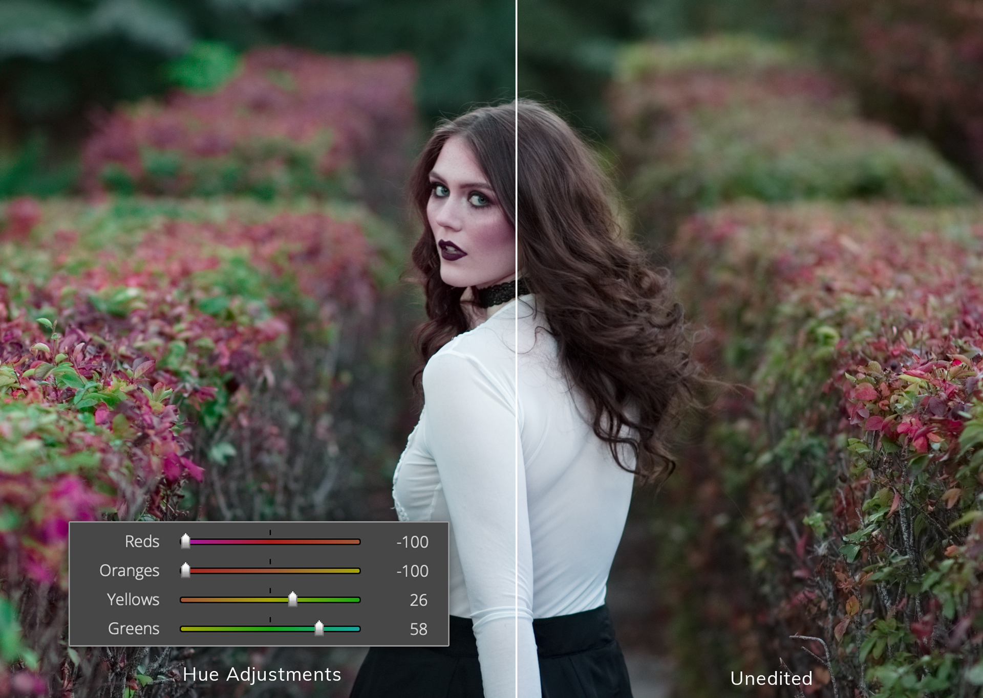 Color Panel User Guide - Exposure Software