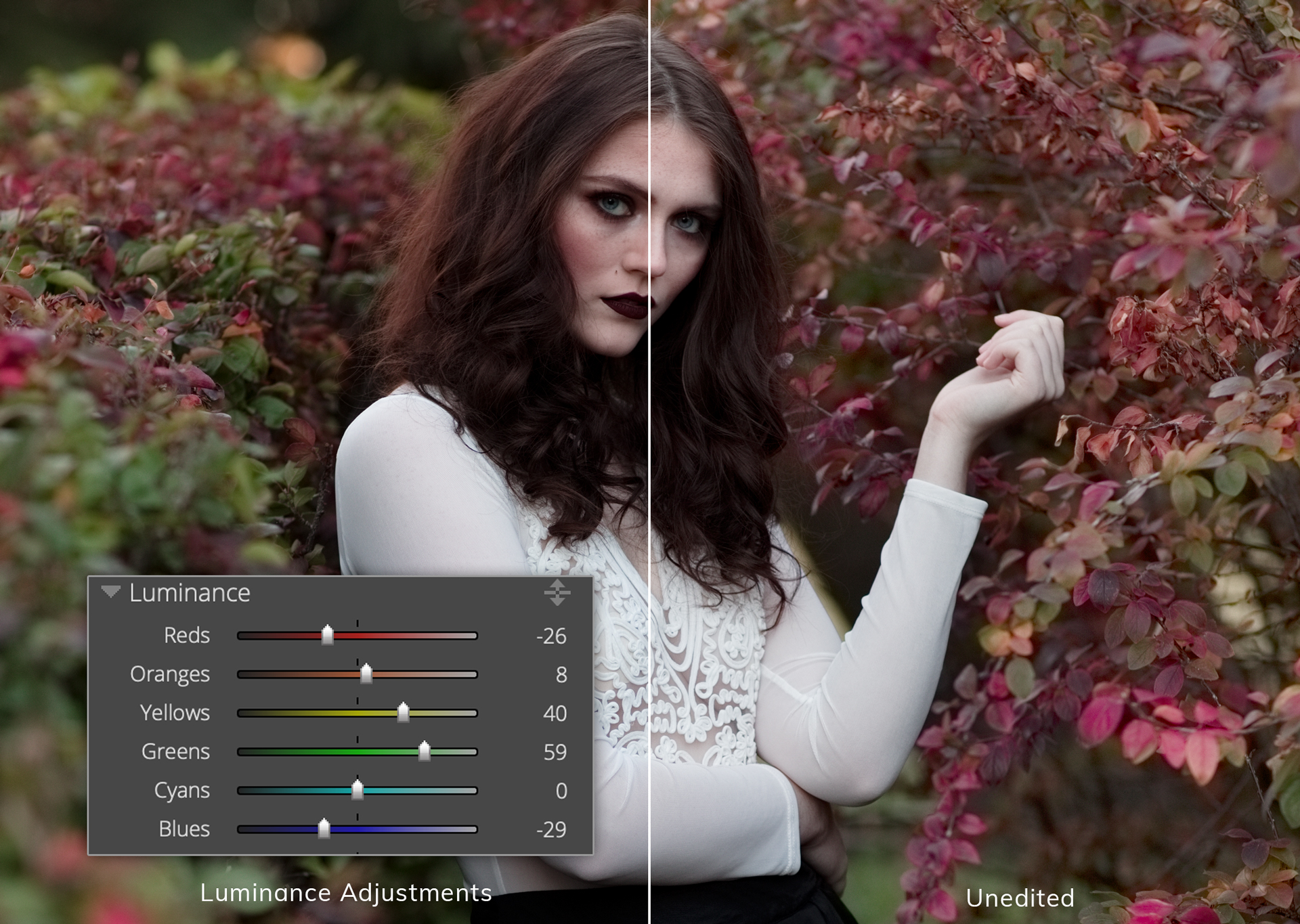 Color Panel User Guide - Exposure Software