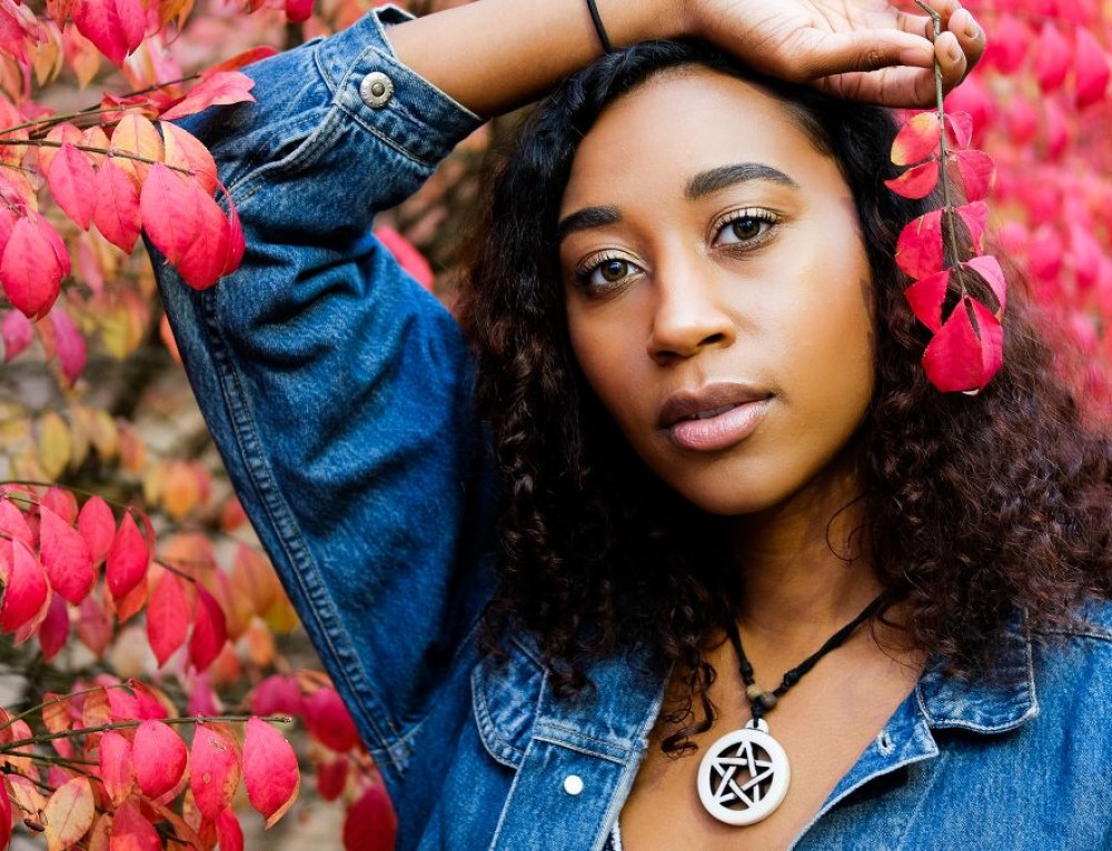 Using Collections - Exposure Software