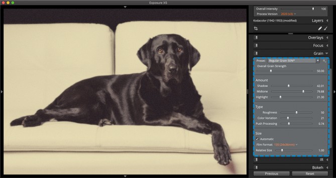 Grain Panel User Guide - Exposure Software