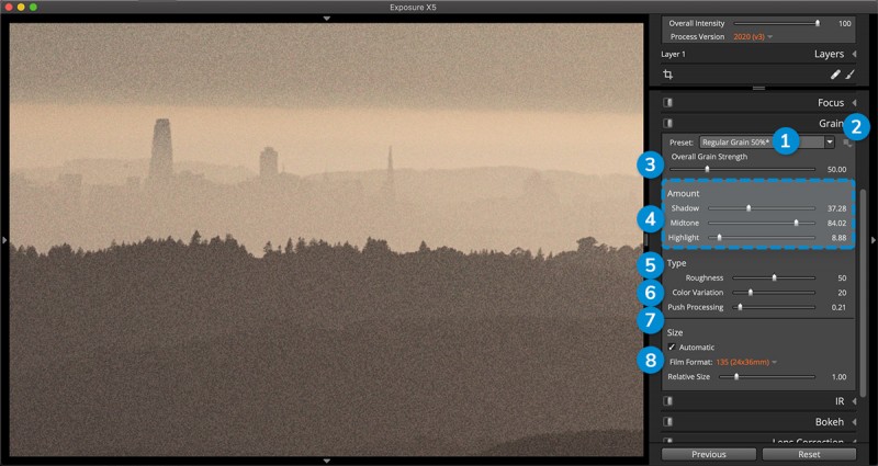 Grain Panel User Guide - Exposure Software