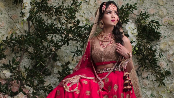 Blog - Exposure Software