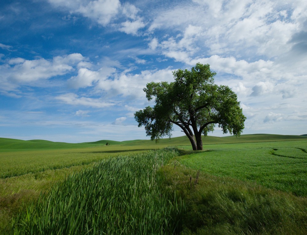 Getting Started with Blow Up - Exposure Software