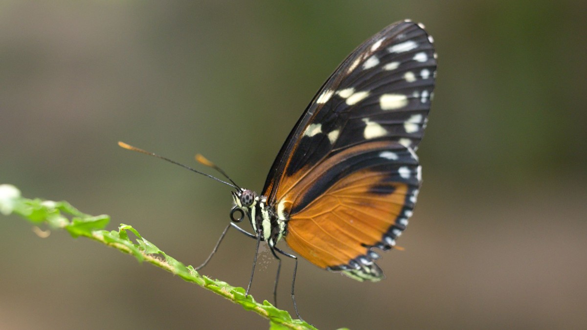 Blog - Exposure Software