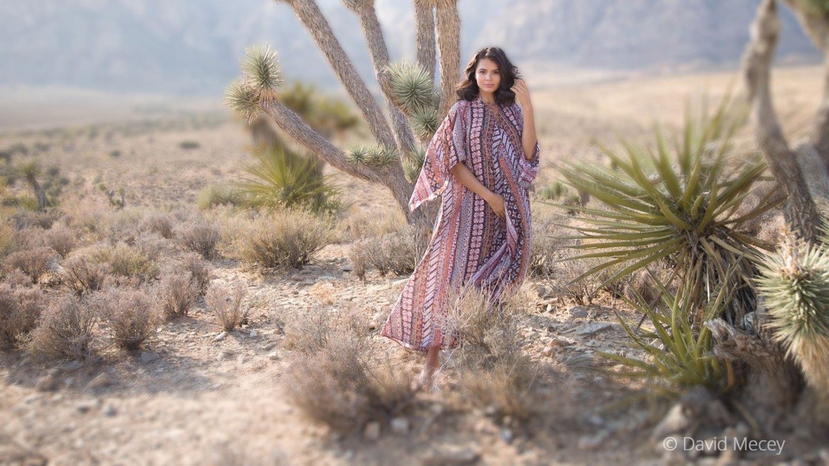 Blog - Exposure Software